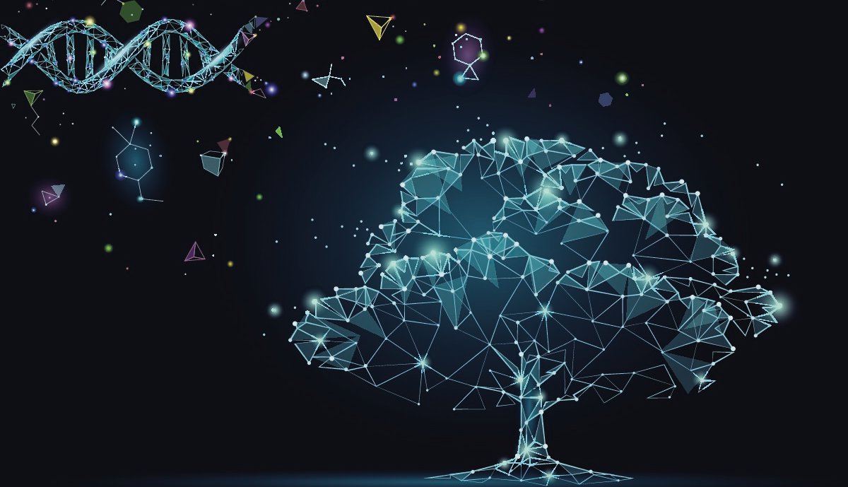 Stephen Freeland, Biochemist – finding God in unexpected places ...